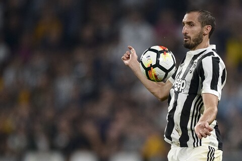 442 appearances, 34 goals, 12 titles, 1 Giorgio Chiellini – SPORTS ...
