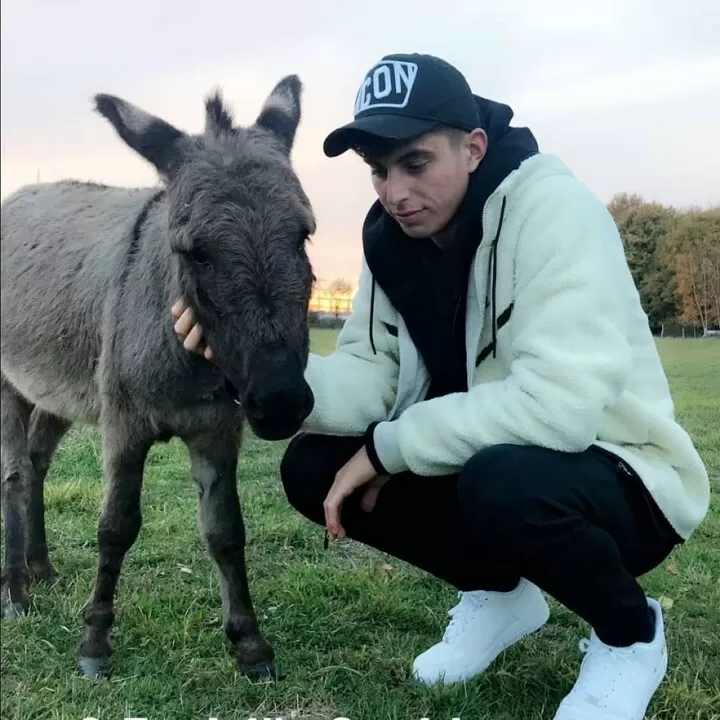 messi donkey