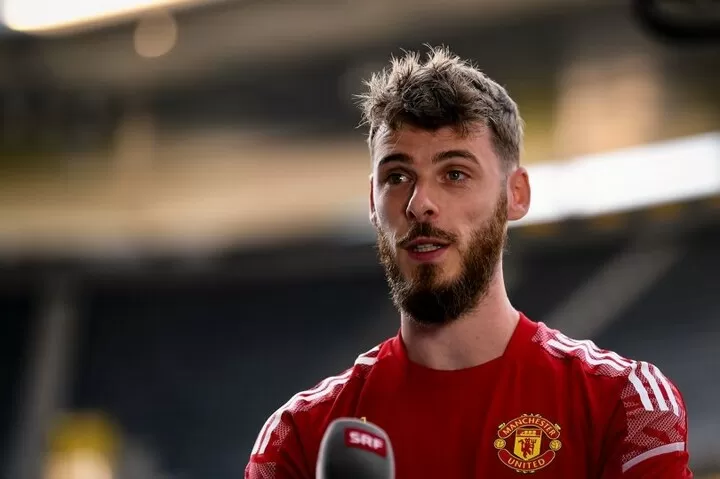 fernandes de gea