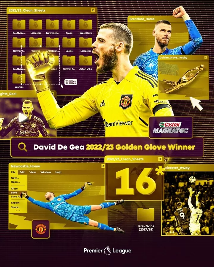 Epl golden glove store