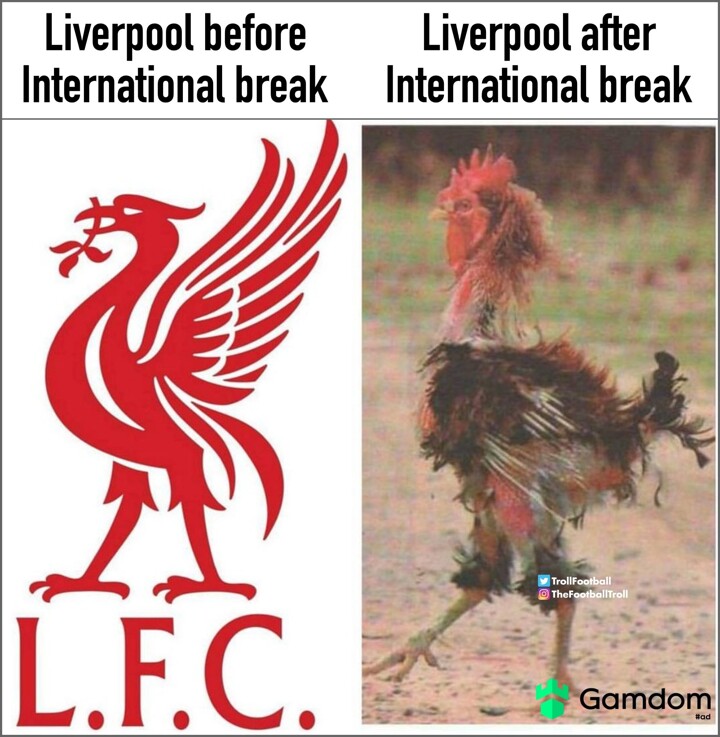 Liverpool Funny Quotes