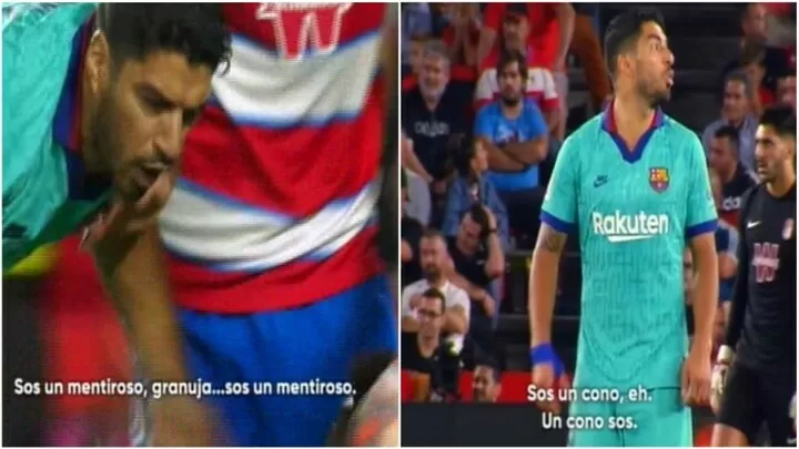 luis suarez shouting