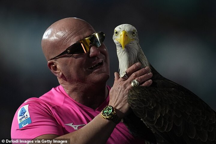 Revealed: Photos which led Italian football club to sack stadium falcon ...