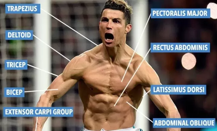 does ronaldo workout everyday