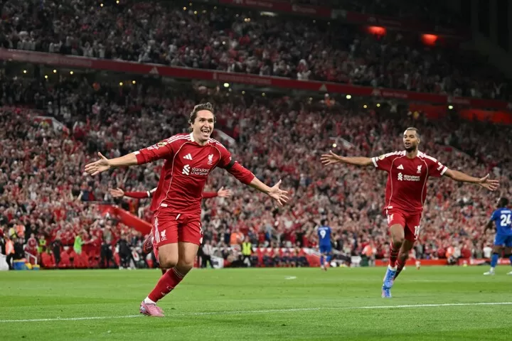 openings bournemouth